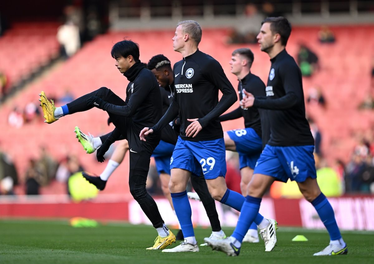 Louis Saha urges Manchester United to sign Brighton prospect